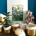 Original Acrylic Painting of Clover Flowers, Botanical Illustration ...