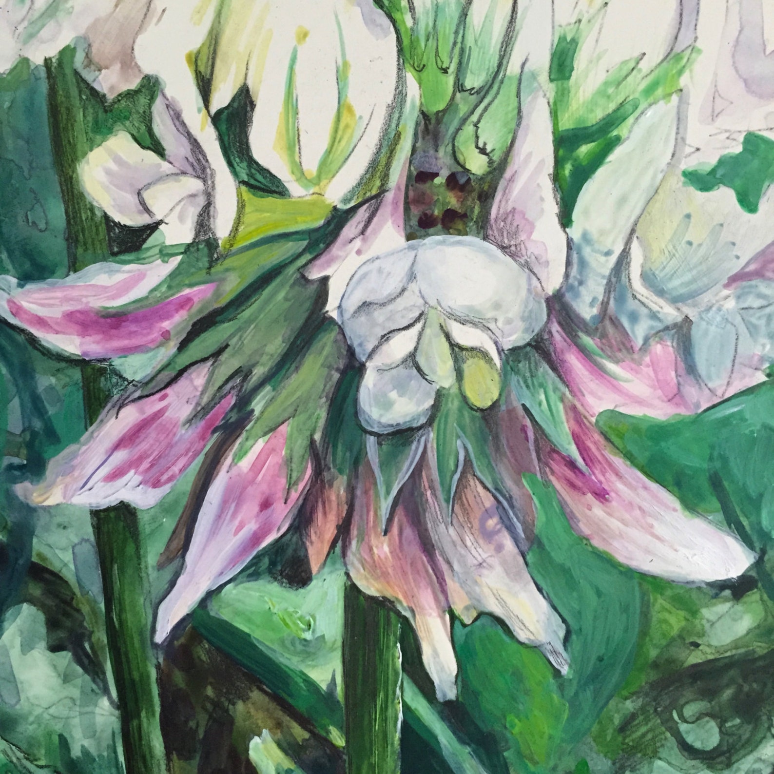 Original Acrylic Painting of Clover Flowers Botanical - Etsy