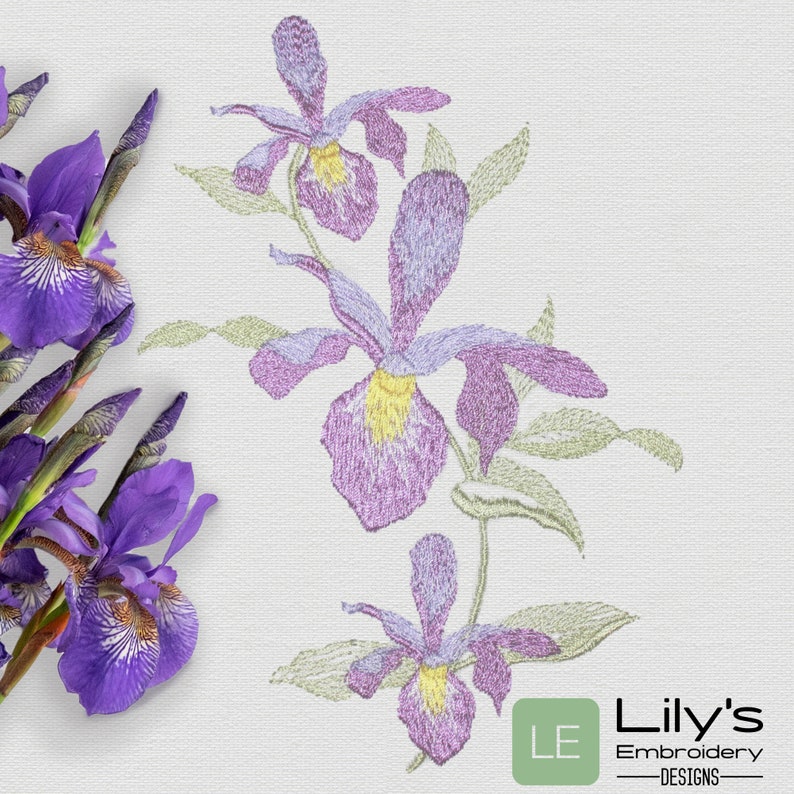 Iris Bouquet Machine Embroidery Design | Machine Embroidery Designs 3 ...