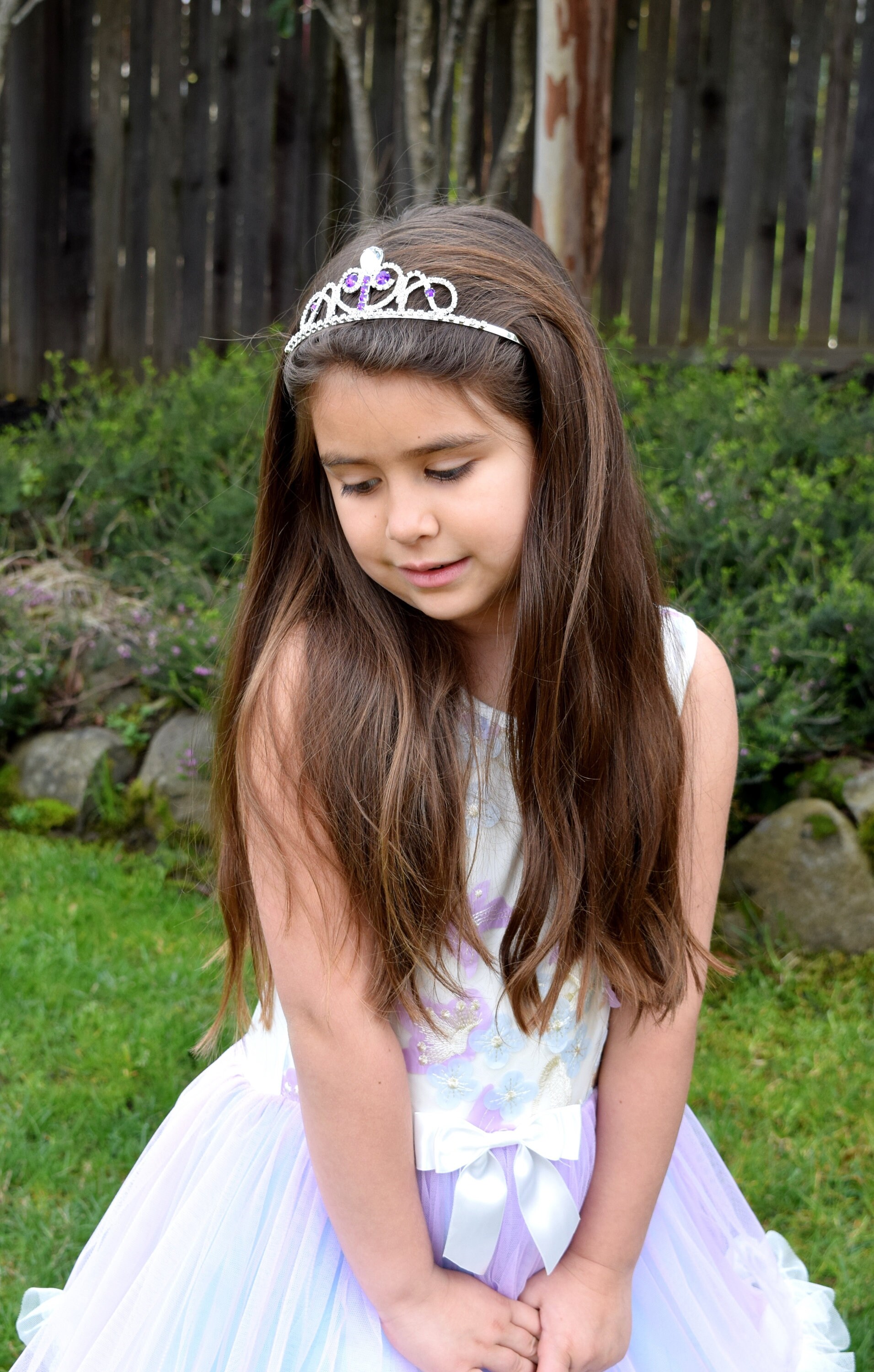 Sofia Tiara, Princess Sofia Costume, Purple Clear Crystal Tiara, The ...