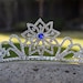 Ice Queen Tiara, Elsa Costume Crown, Silver Frozen Snowflake Glass ...