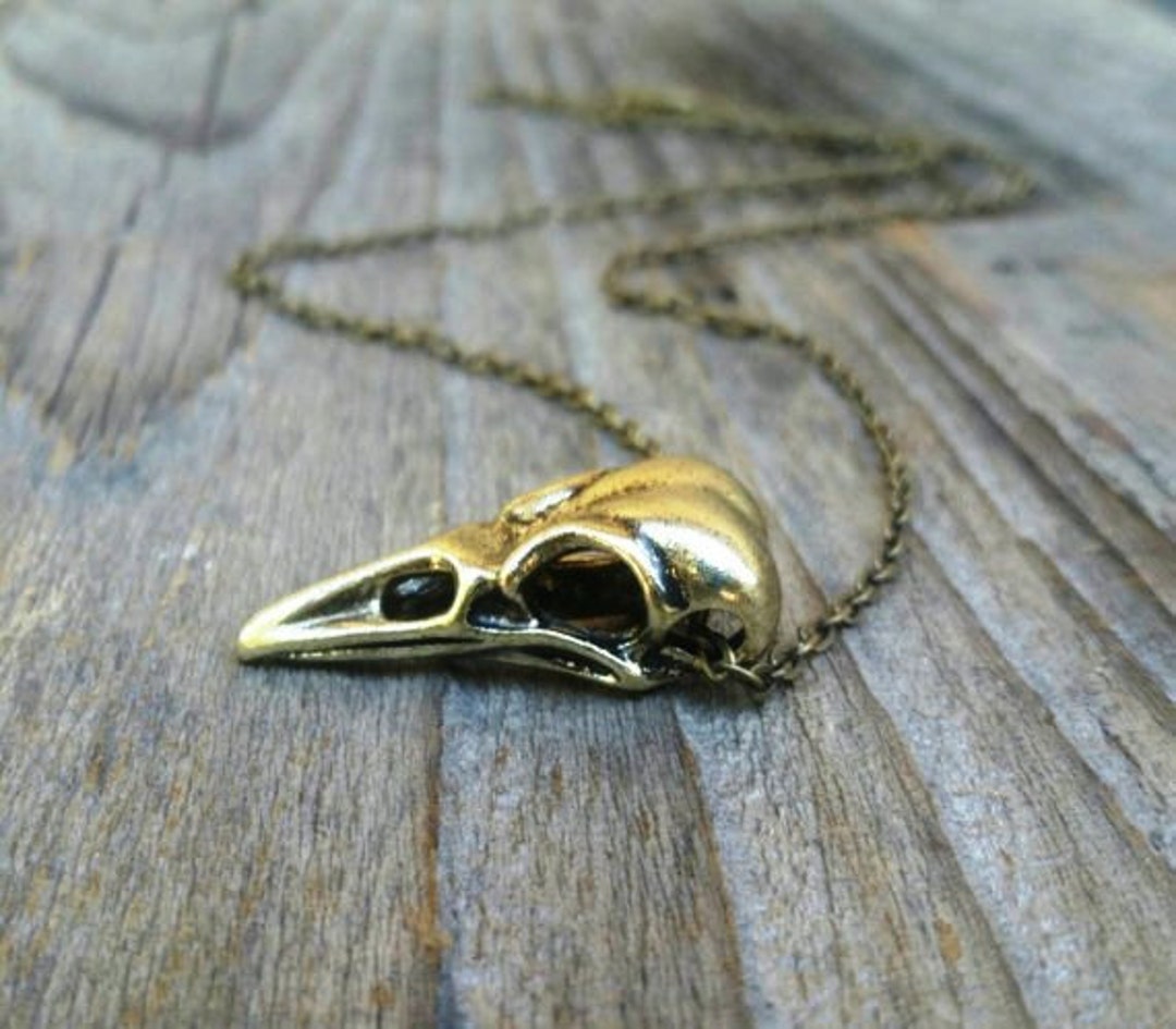 Raven Skull Necklace, Antique Bronze Bird Skull Necklace, Unique Animal ...