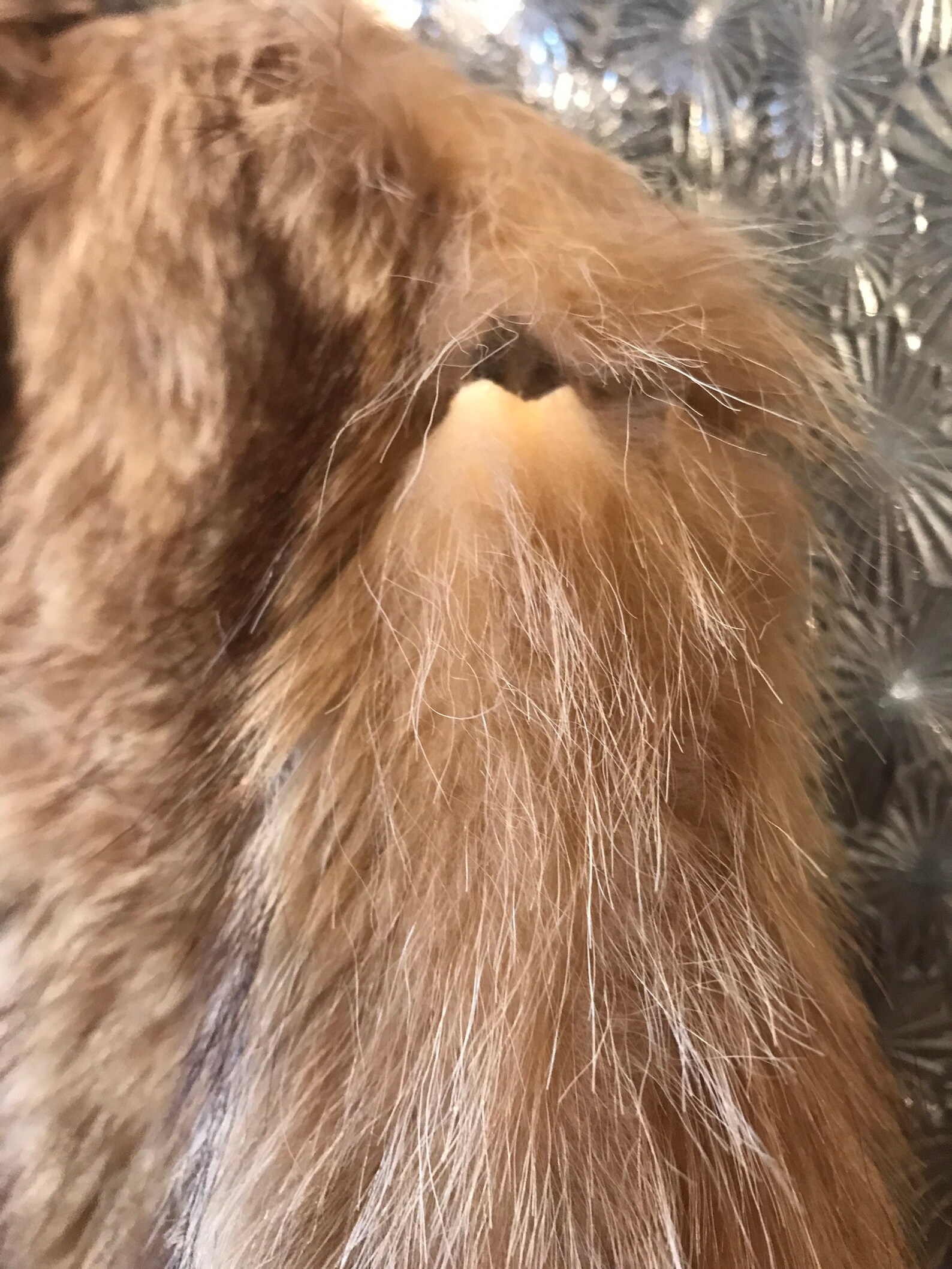 Vintage Fur Coat - Etsy