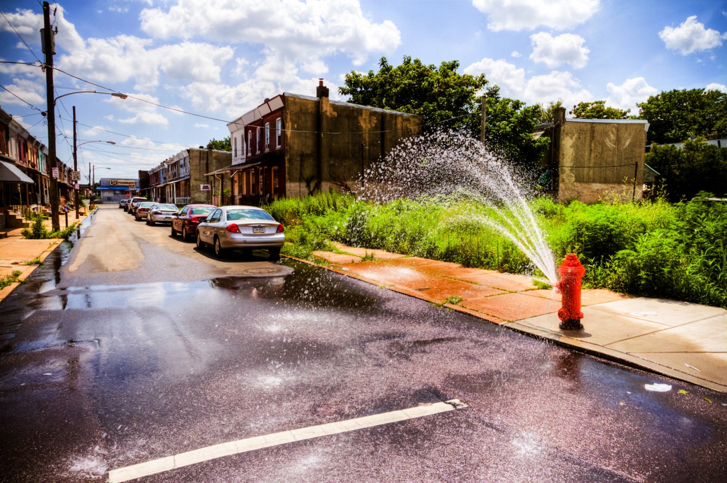 Summer in South Philadelphia Landscape Photo - Etsy