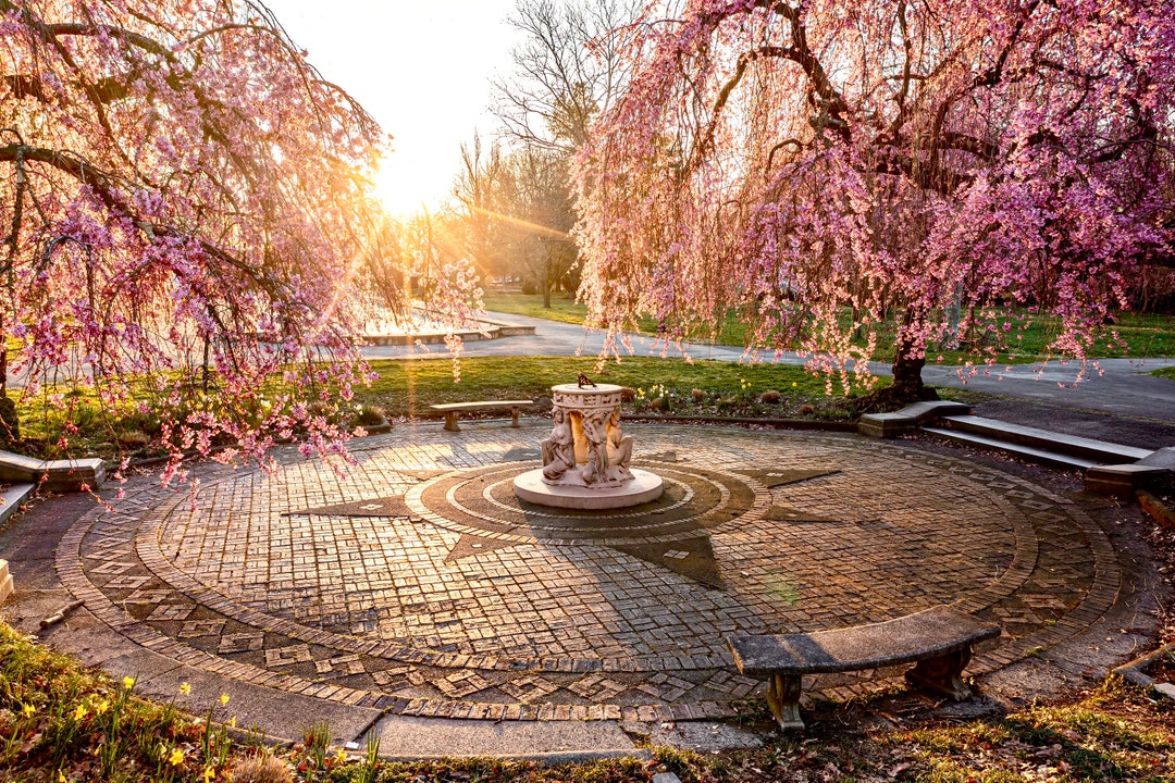 Philadelphia Springtime Cherry Blossoms Sundial Sunrise Landscape Photo ...
