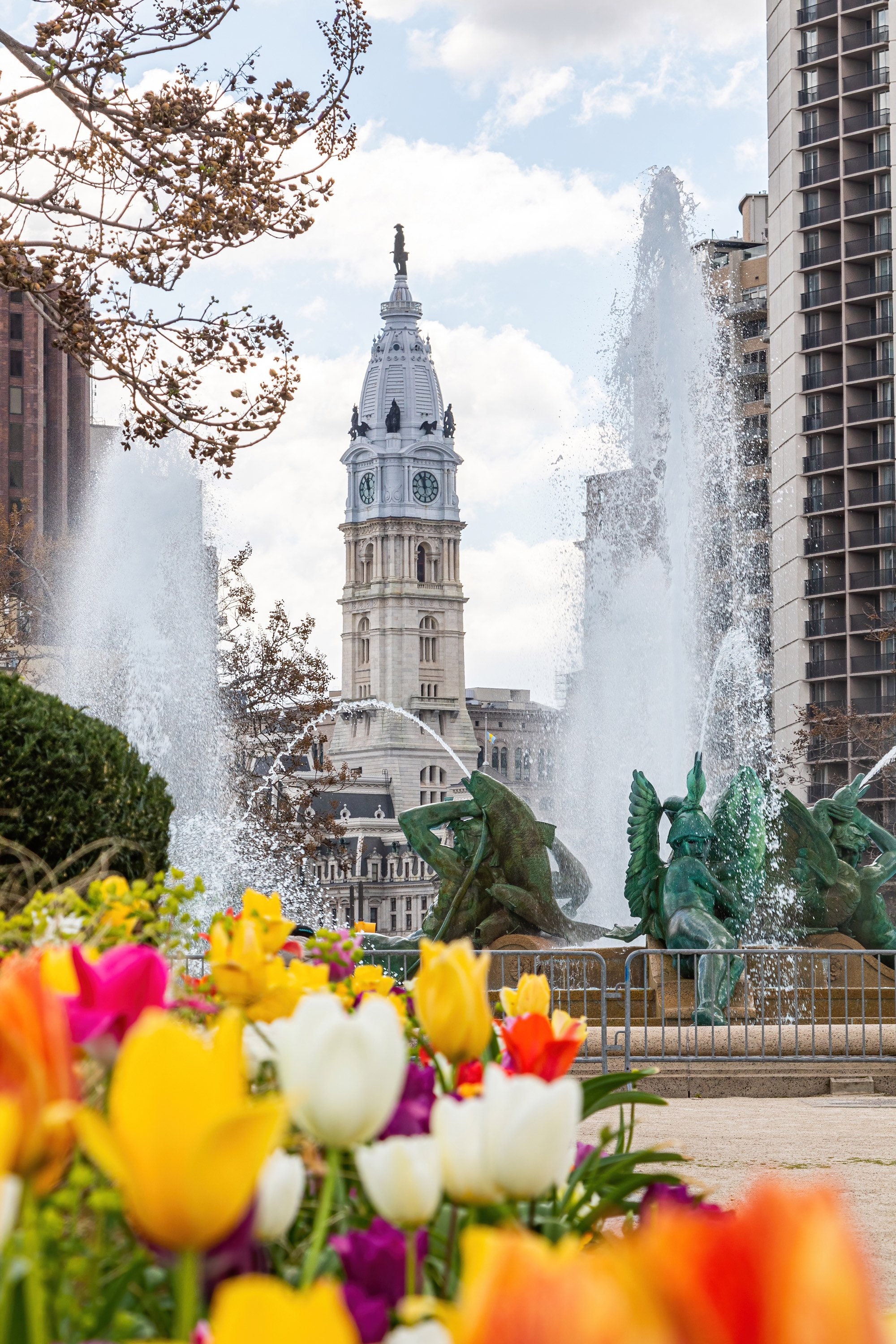 Spring Tulips in Logan Circle Philadelphia Photo - Portrait Orientation ...