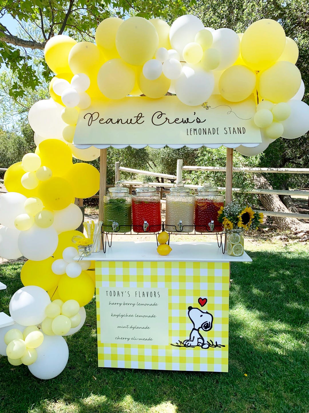 Editable-printable Peanut Crew's Lemonade Stand Signs - Etsy