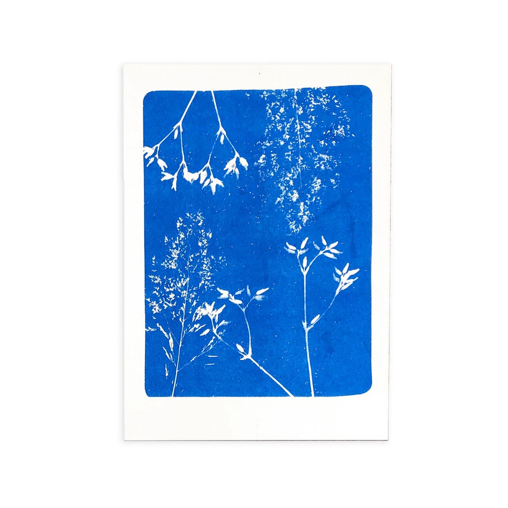 StudioAliceMulder - Etsy