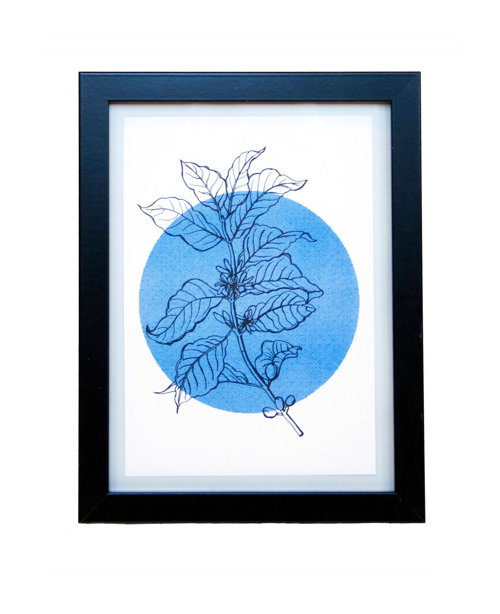 Riso Print of a Coffee Plant Drawing Risograph Art Gift for - Etsy