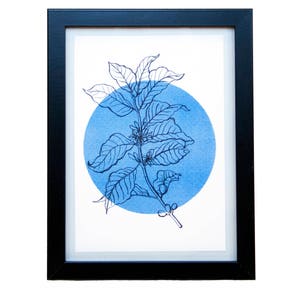 Riso Print of a Coffee Plant, Drawing Risograph, Art Gift for Barista ...