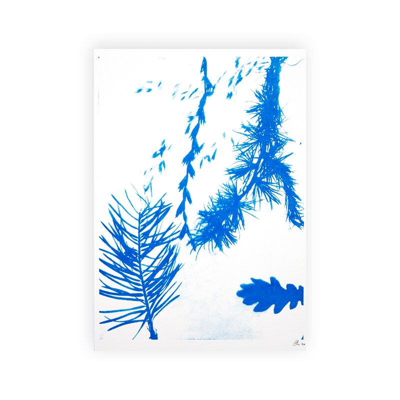 StudioAliceMulder - Etsy