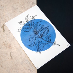 Riso Print of a Coffee Plant, Drawing Risograph, Art Gift for Barista ...