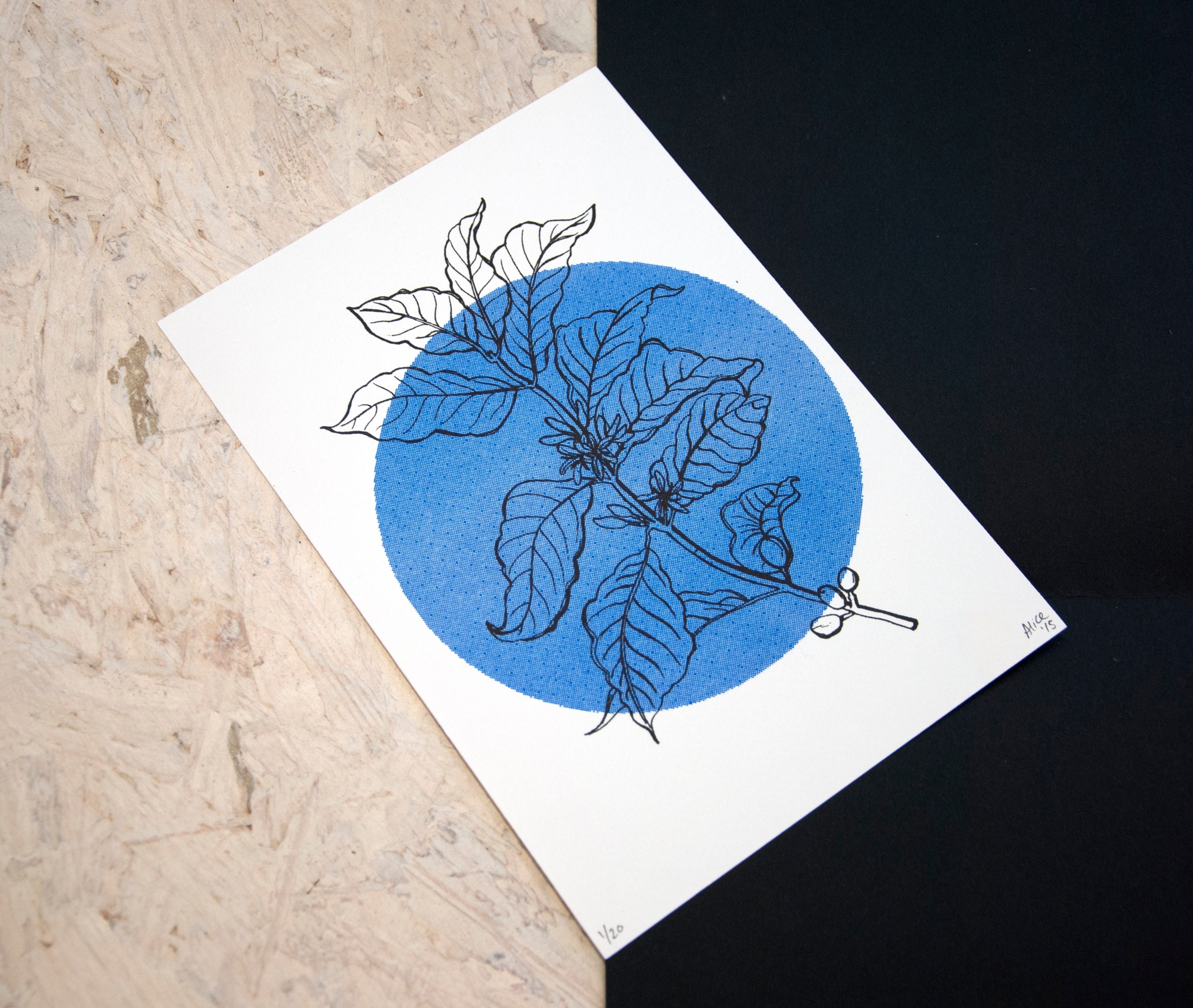 Riso Print of a Coffee Plant Drawing Risograph Art Gift for - Etsy