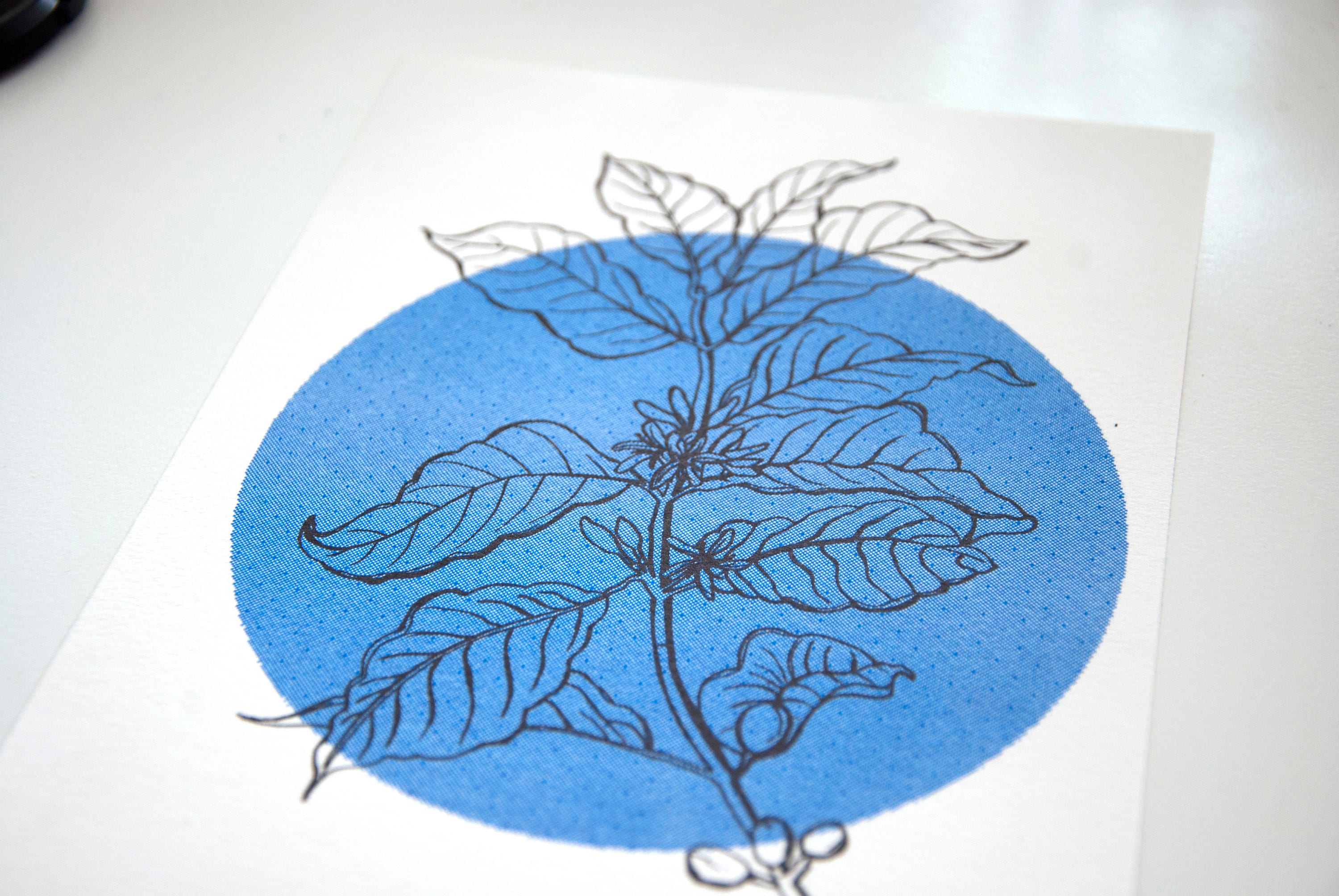 Riso Print of a Coffee Plant Drawing Risograph Art Gift for - Etsy