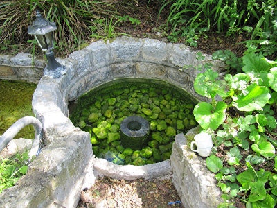 VIAL Freedom and Friendship Charmed Vial Filled With | Etsy