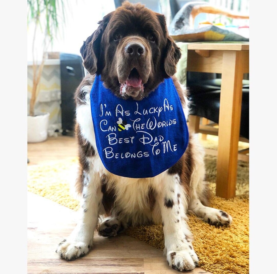 Big Dog Slobber Drool/slobber Bibs Best Dad ,mum,mom - Etsy