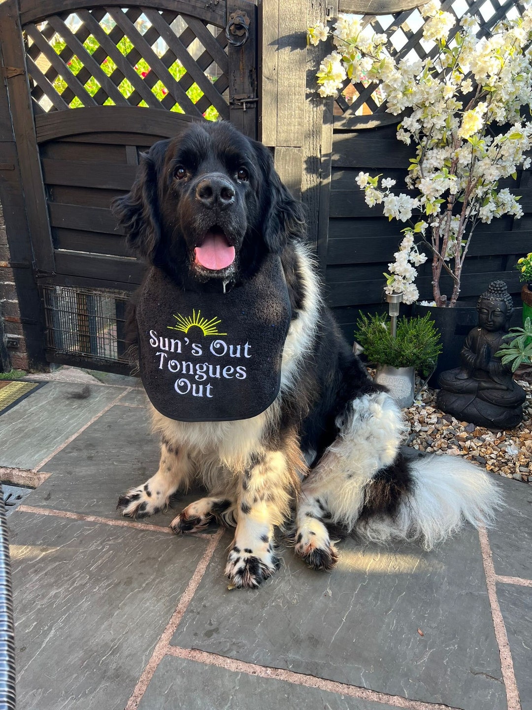 Big Dog Slobber Bib Suns Out Tongues Out for All Your Big Slobbering ...