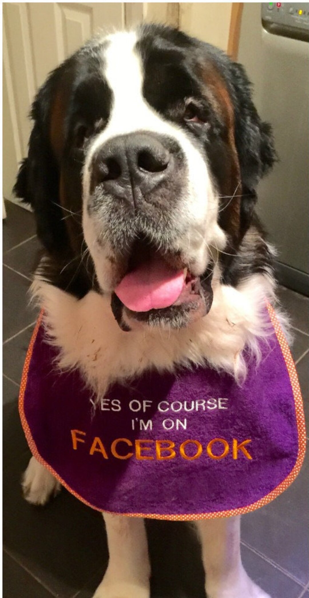 Big Dog Slobber Bib Facebook - Etsy