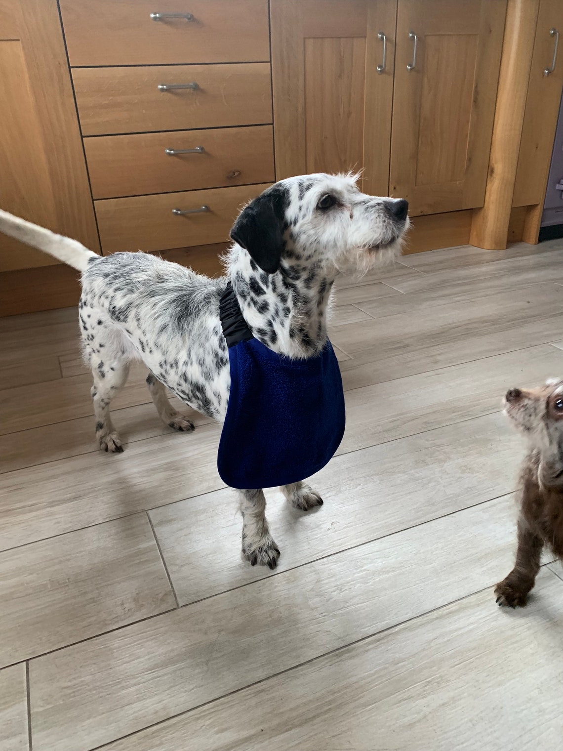 Dog Bib for Smaller Breeds 11-16 Inch Neck Made for the - Etsy