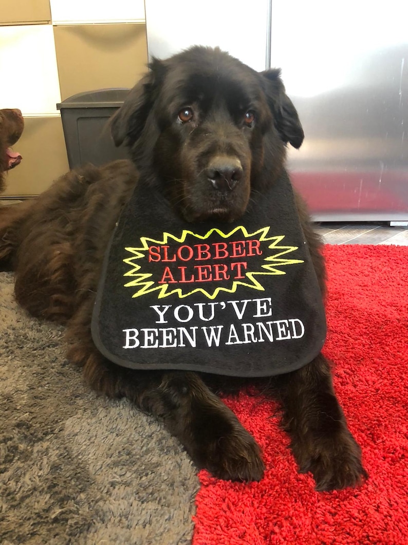 Big Dog Slobber Drool/slobber Bibs 2 Designs - Etsy