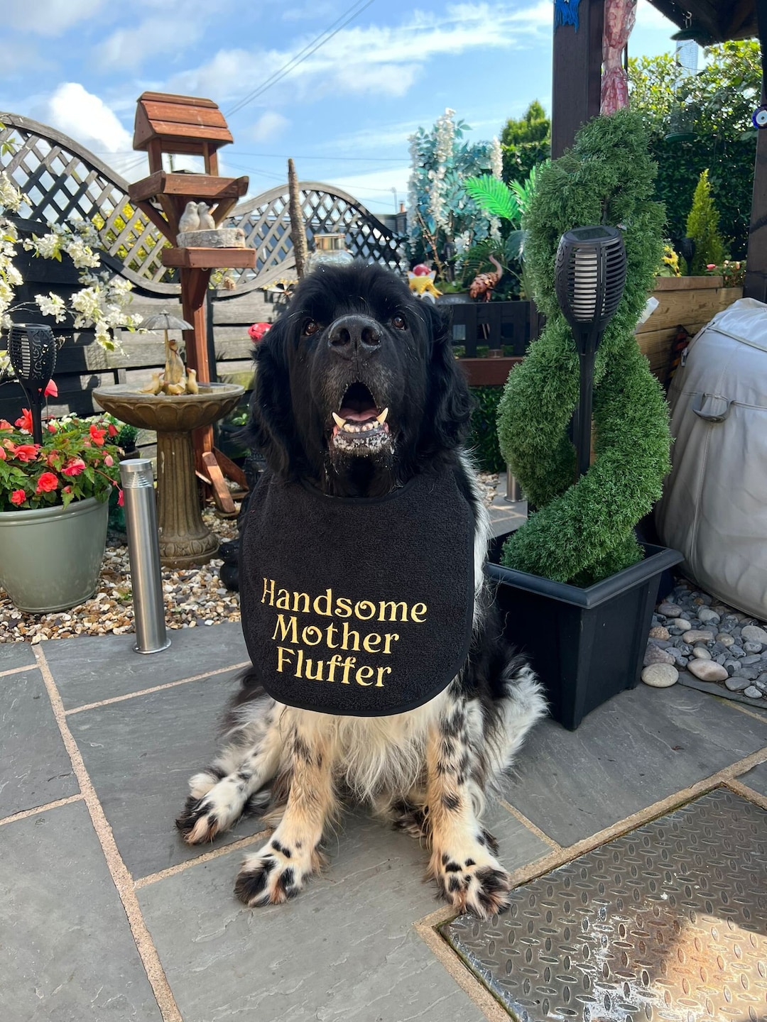 Slobber, Drool .bibs Handsome Mother Fluffer Great for Newfoundlands.st ...