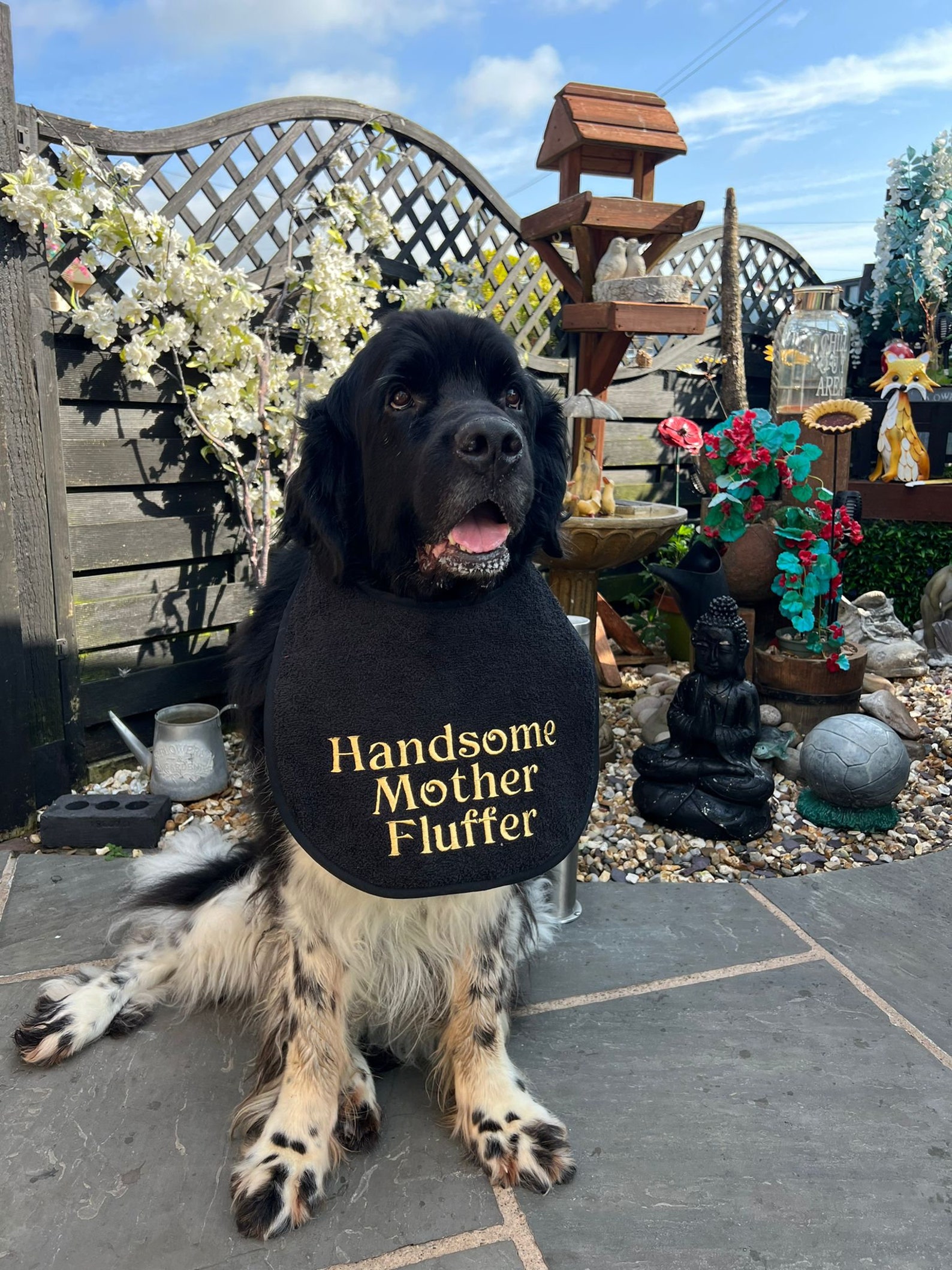 Slobber, Drool .bibs Handsome Mother Fluffer Great for Newfoundlands.st ...