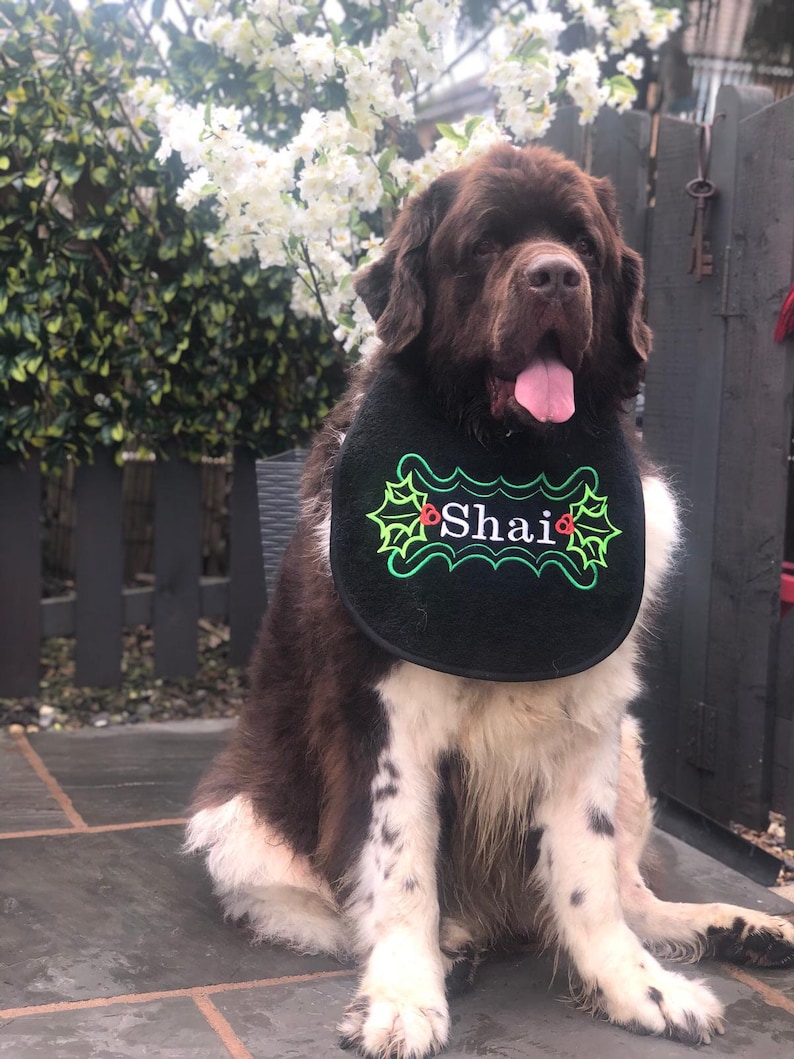 Big Dog Slobber Bib Assorted Christmas Designs - Etsy