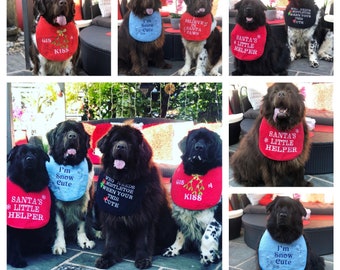 Big Dog Slobber Drool/slobber Bibs 2 Designs - Etsy