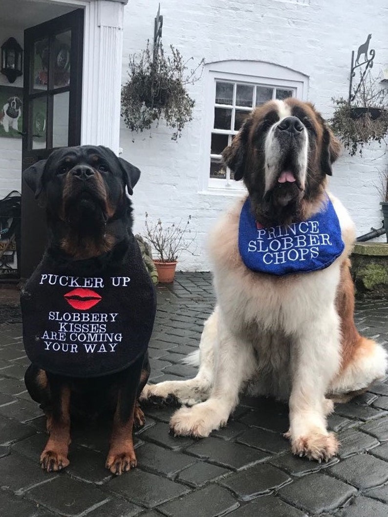 Big Dog Slobber Bib Slobbery Kisses Are Coming Your Way - Etsy UK