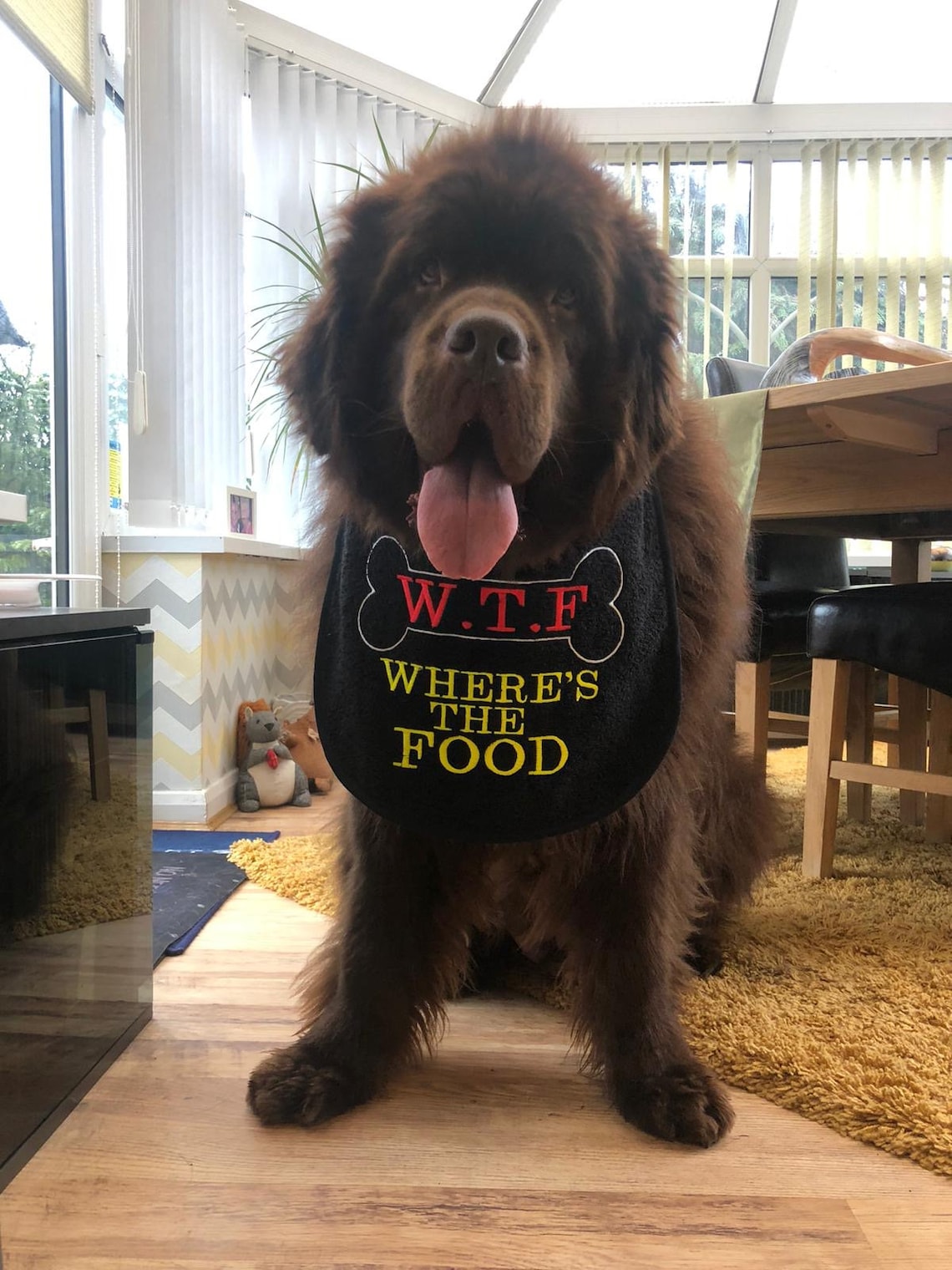 Big Dog Slobber Drool/slobber Bibs 2 Designs - Etsy