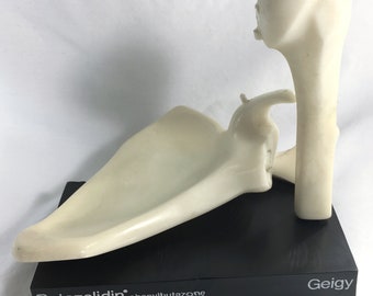 Anatomical Model Vintage - Etsy