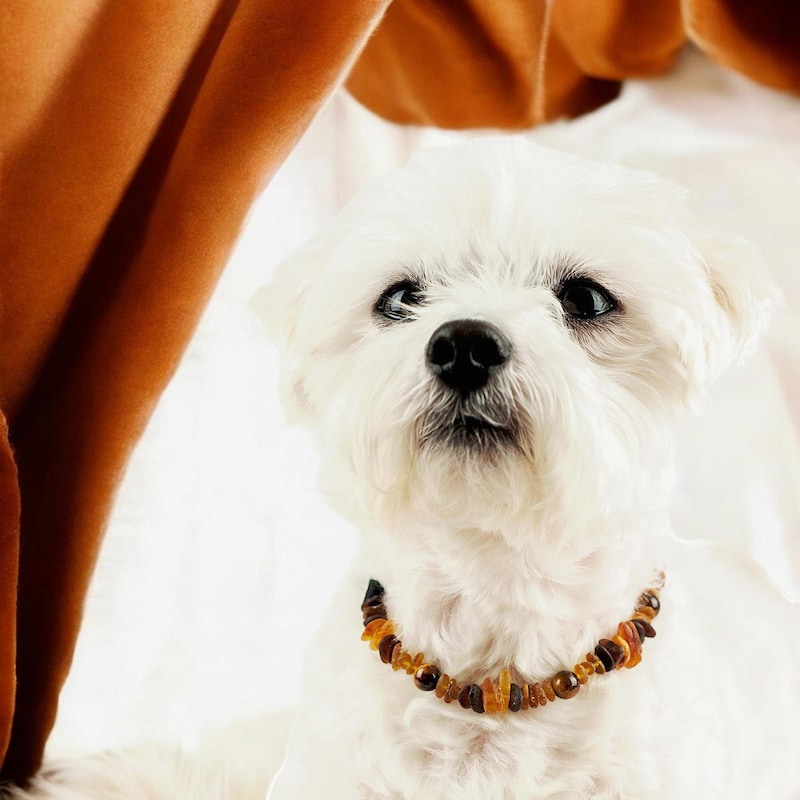 Gemstone Print Collar - Etsy