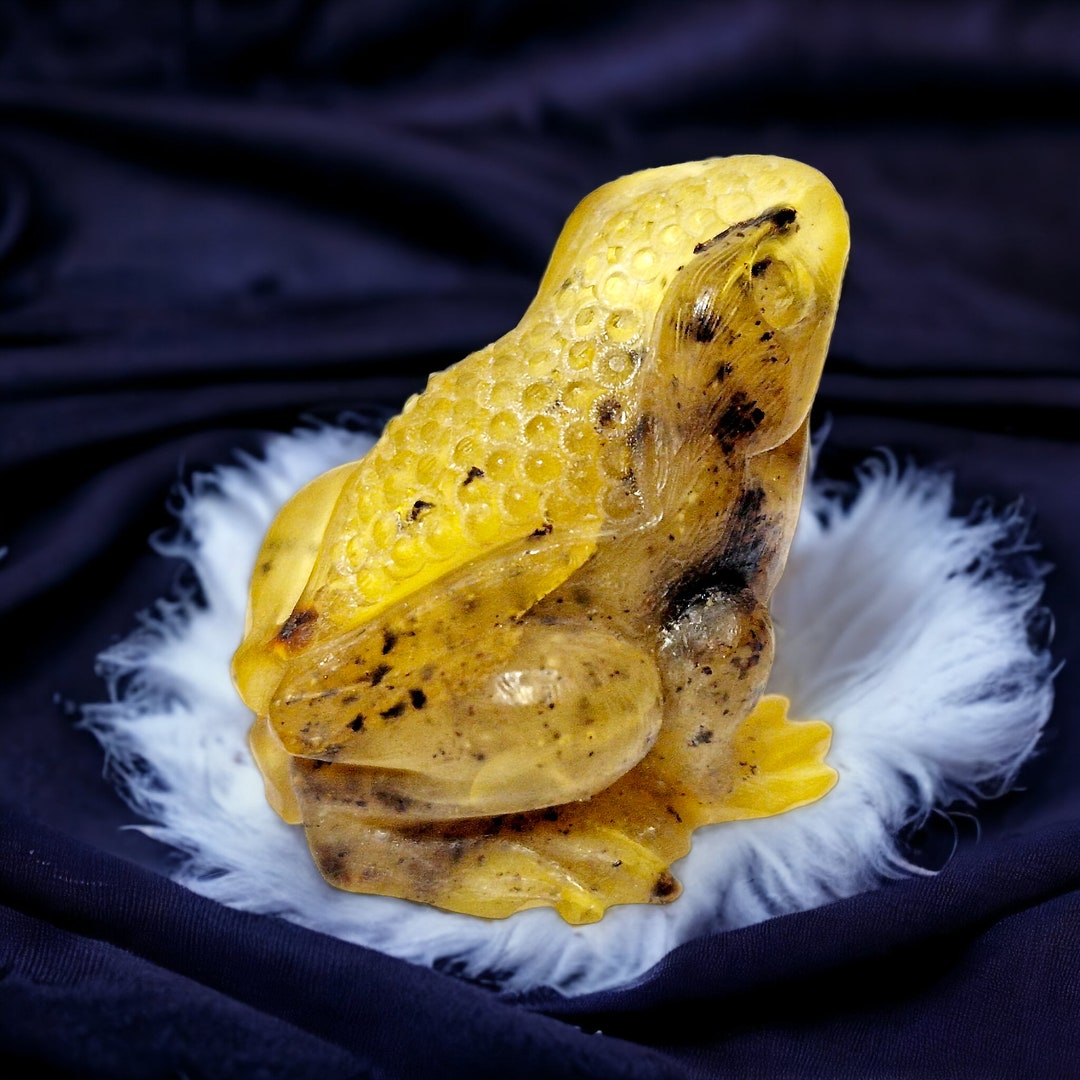 Frog Lover Collector Gift Handmade Baltic Amber Figurine, Carved ...