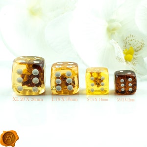 FREE GIFT BOX Amber Dice Baltic Amber Dice With Earthy Remains - Etsy