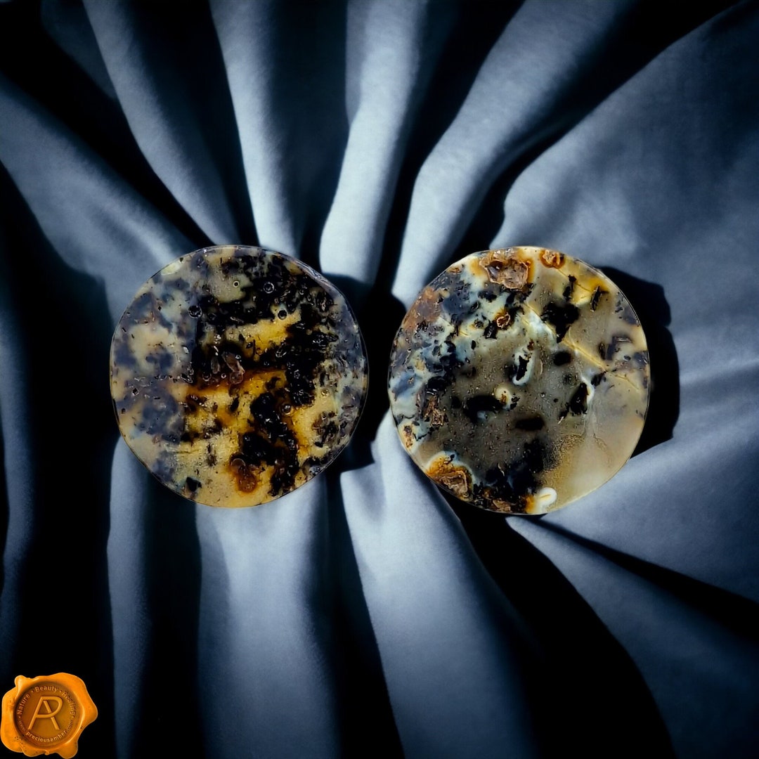 RARE Gemstone Baltic Amber Clip on Earrings | Silver Amber Large Clip ...