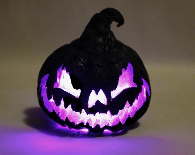 Midnight Black Pumpkin - Etsy