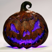 Midnight Black Pumpkin - Etsy
