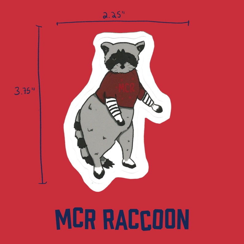 Emo Raccoon Sticker Pack - Etsy