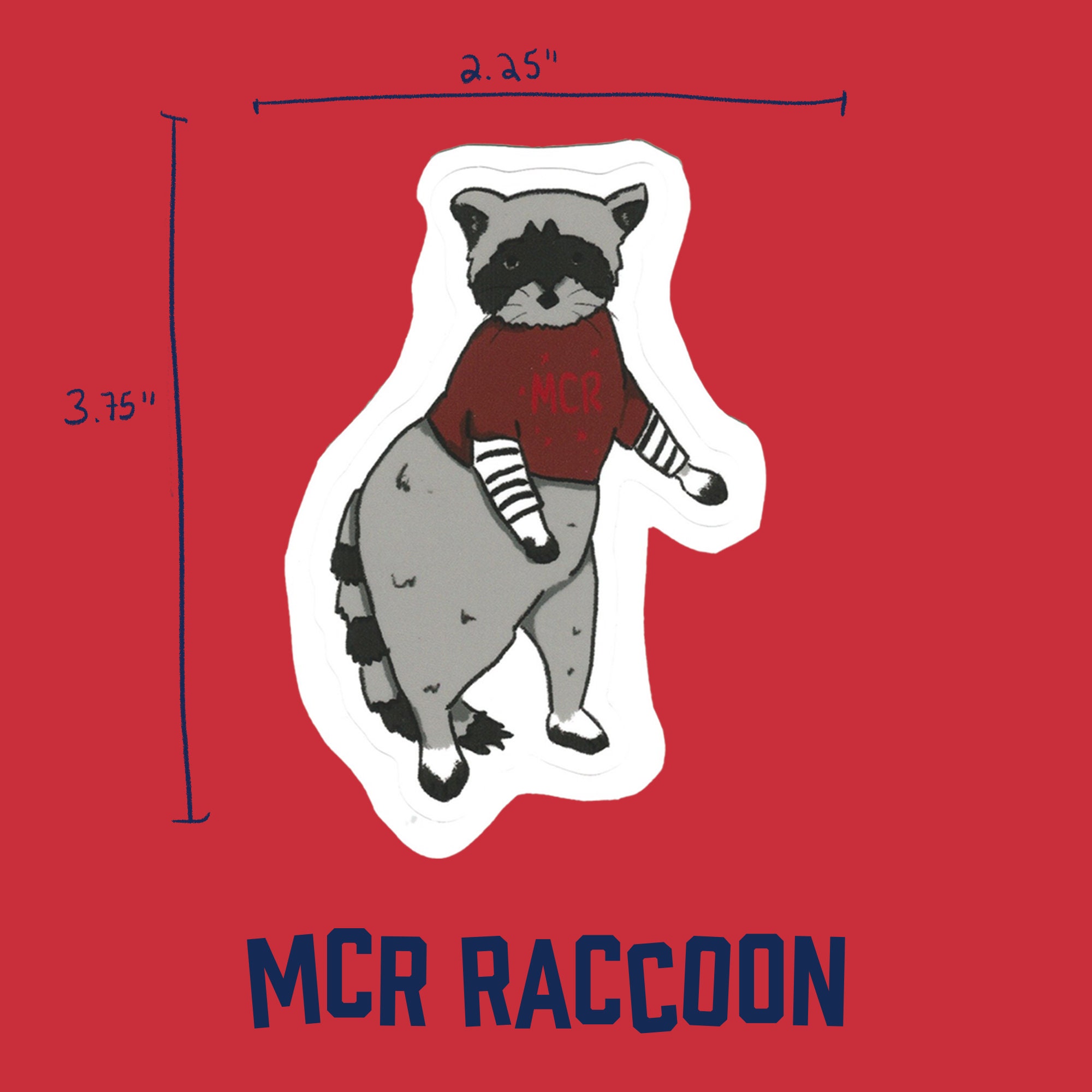 Emo Raccoon Sticker Pack - Etsy