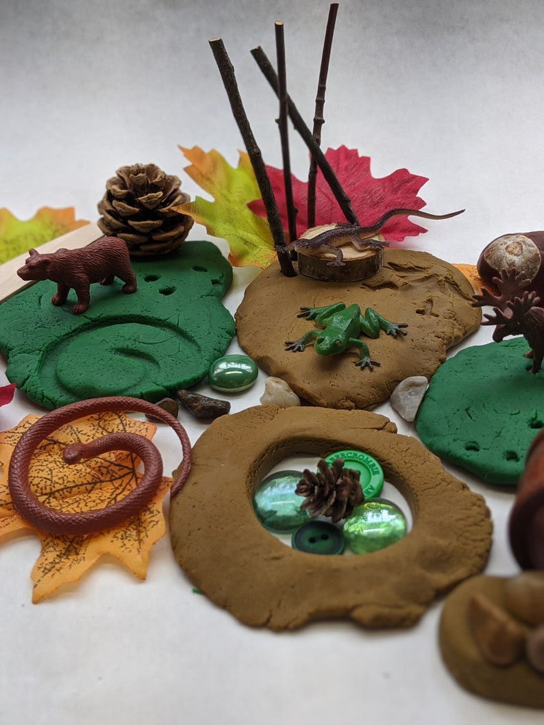 Forest Play Dough Sensory Kit Woodland Animal Playdough | Etsy
