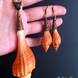 Natural Seashell Jewellery Set, Real Seashell Necklace and Earrings ...