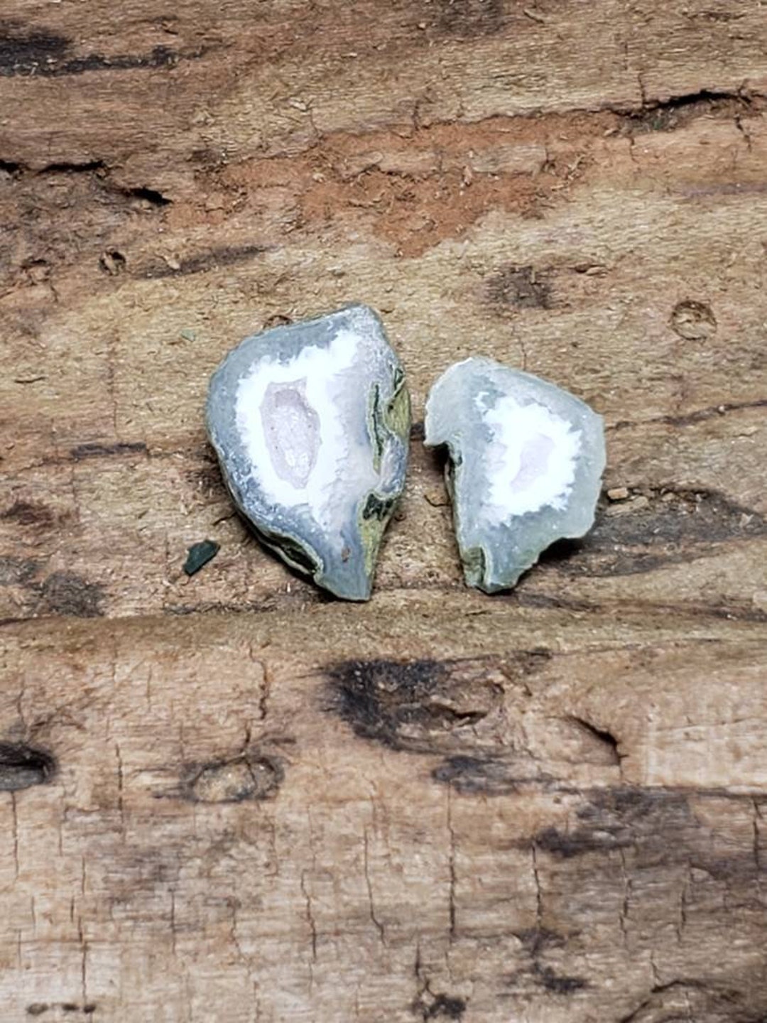 Ducks Micro Tabasco Geode Pair - Etsy