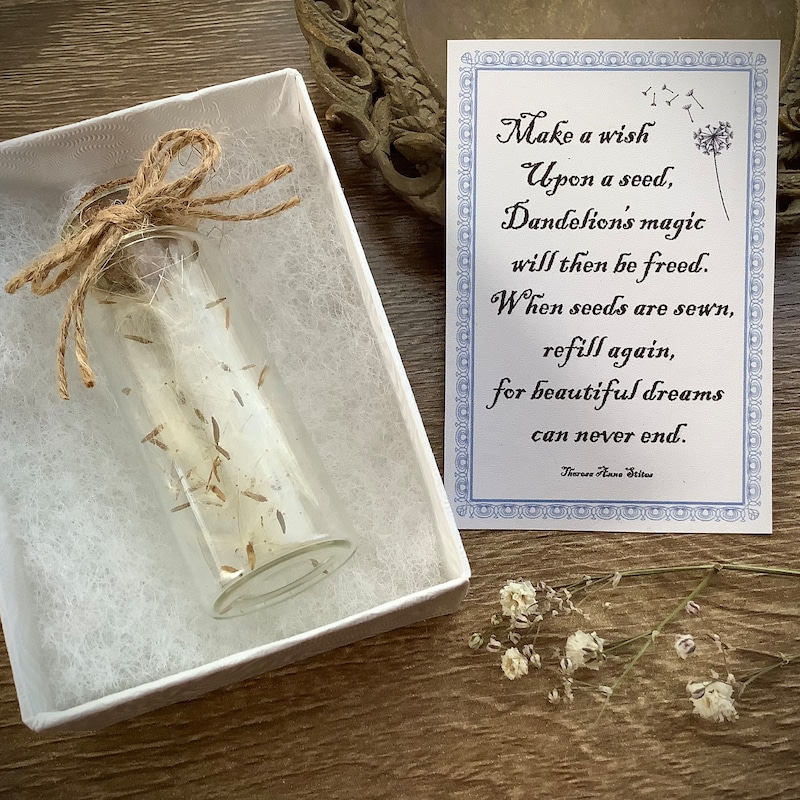 Wish Jar - Etsy