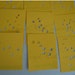 Zodiac Constellation Projection Cards (commercial Use) - Etsy