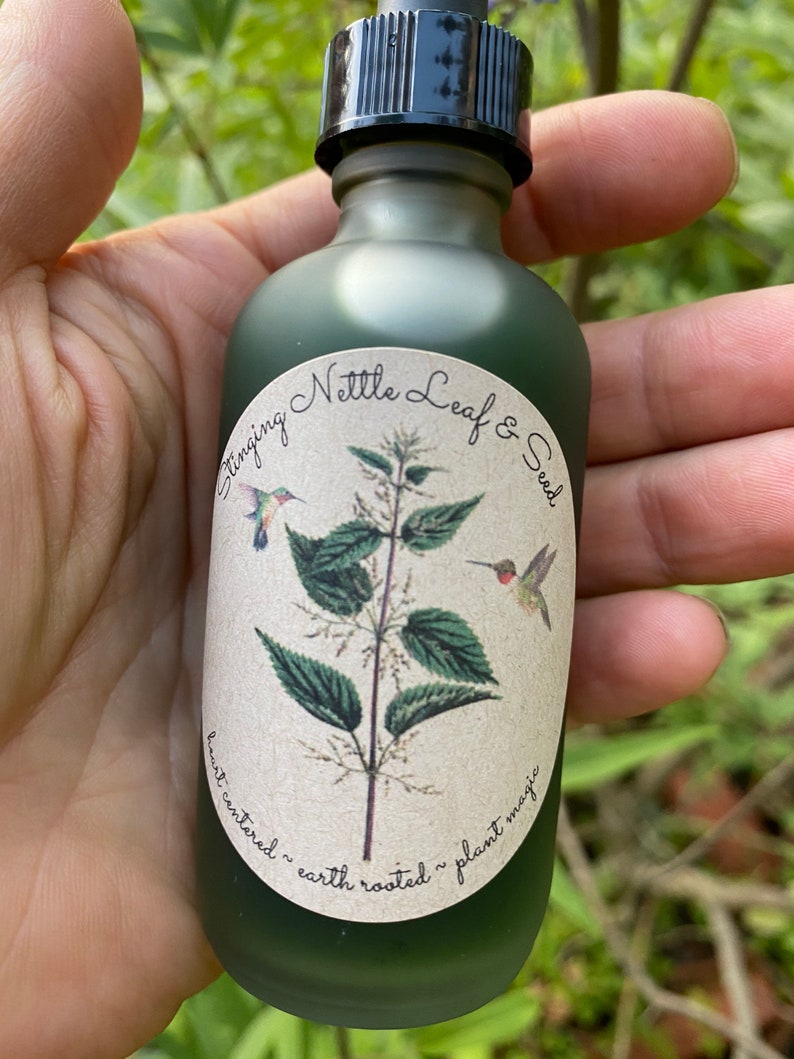 Stinging Nettle Tincture - Etsy