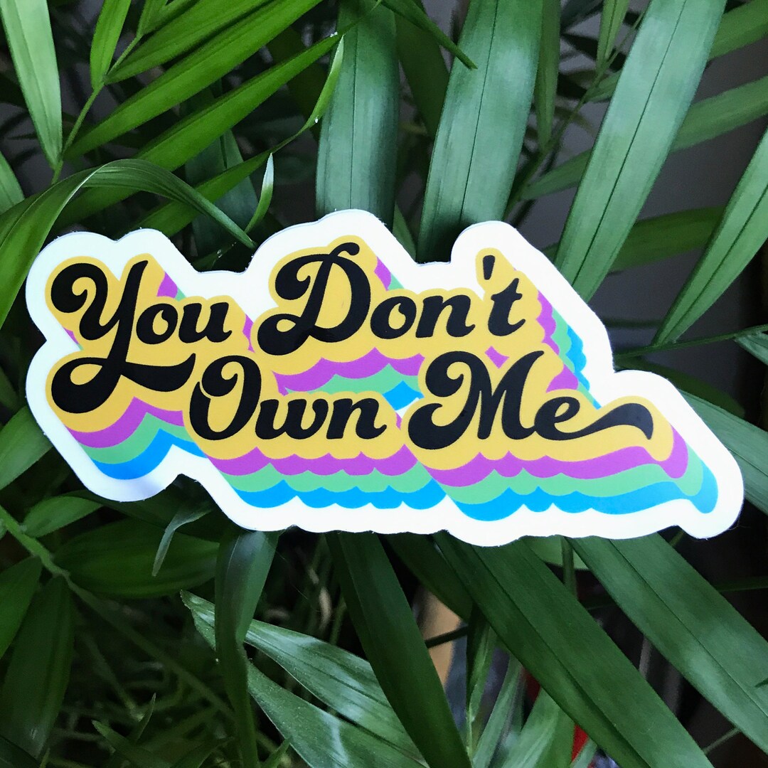 You Don't Own Me Sticker, 70s Retro Decal, Feminist Vinyl Die Cut Decal ...