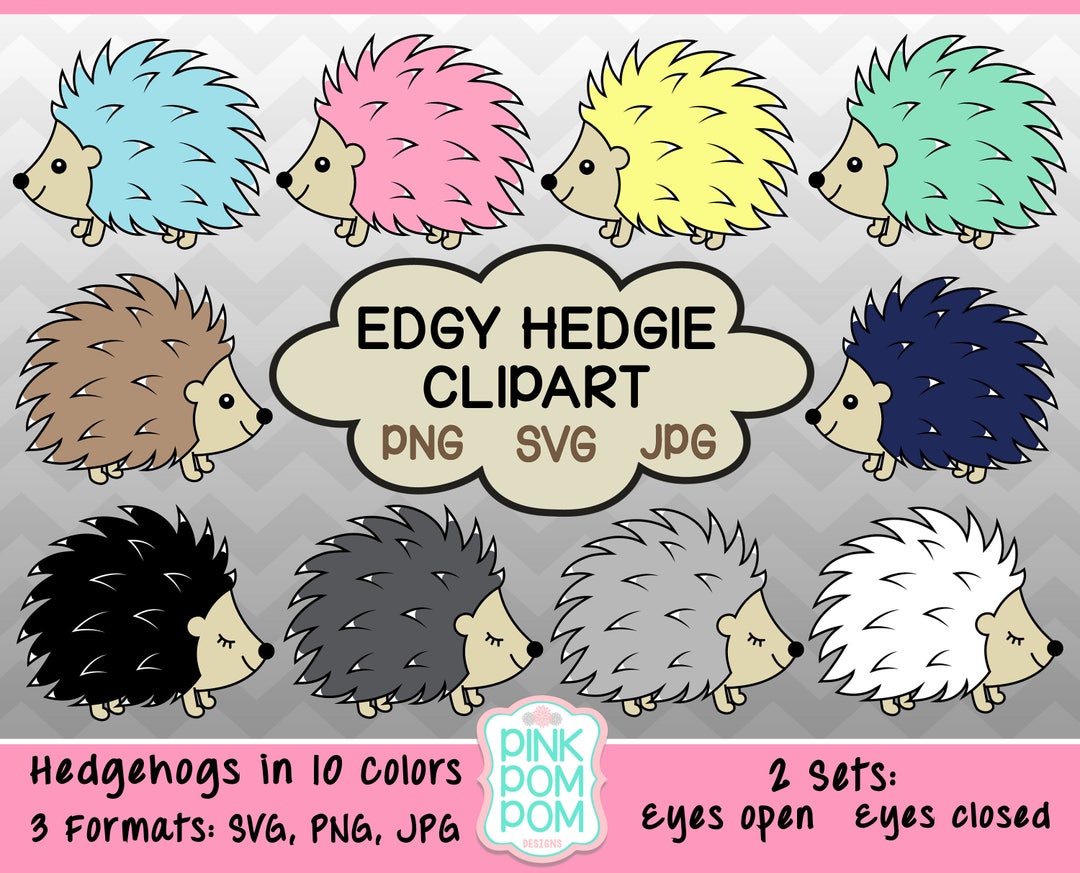Hedgehog Clipart Set Hedgehog Svg Hedgehog Graphic - Etsy UK