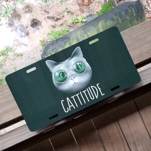 Cute Hipster Cat With Cattitude License Plate. Cat License Plate, Front ...