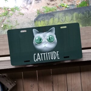 Cute Hipster Cat With Cattitude License Plate. Cat License Plate, Front ...