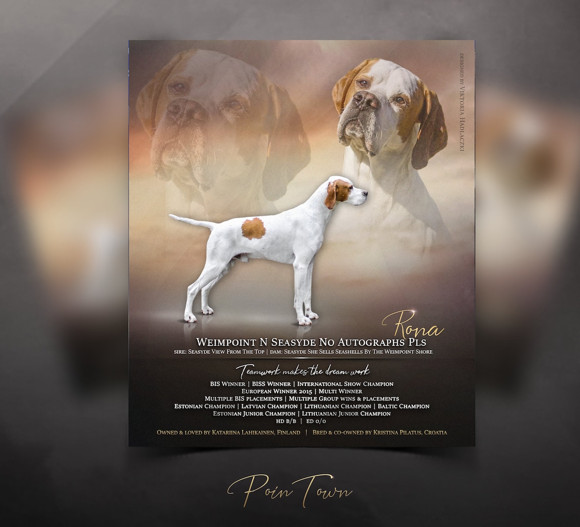 CUSTOM Graphic Design for breeders stud dog planned litter | Etsy